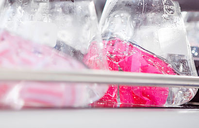 Hohenstein - Textile Expertise. To the Point. - Hohenstein