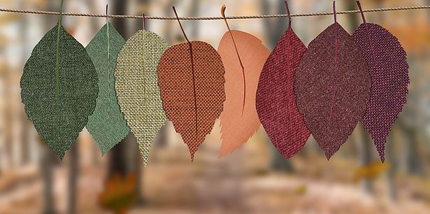 Textile Testing Lab - Hohenstein