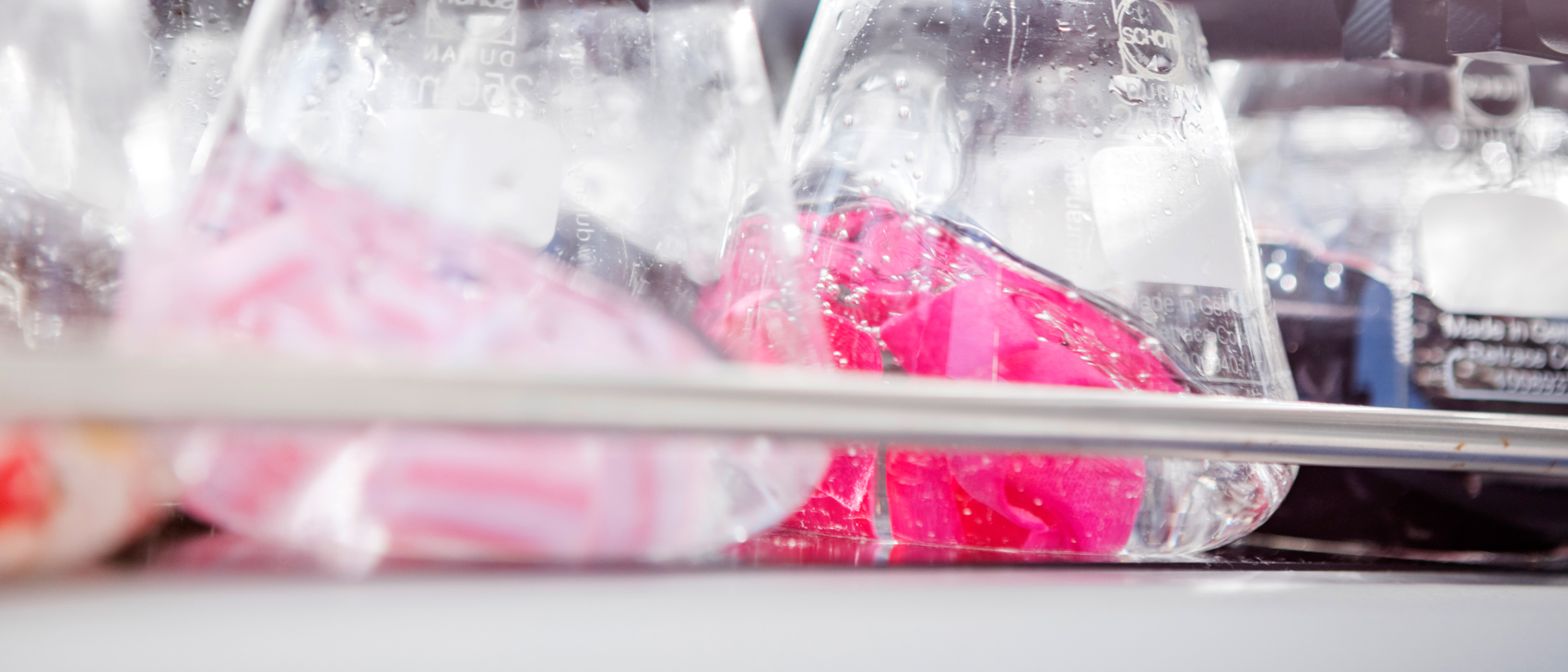 Textile Testing - Hohenstein