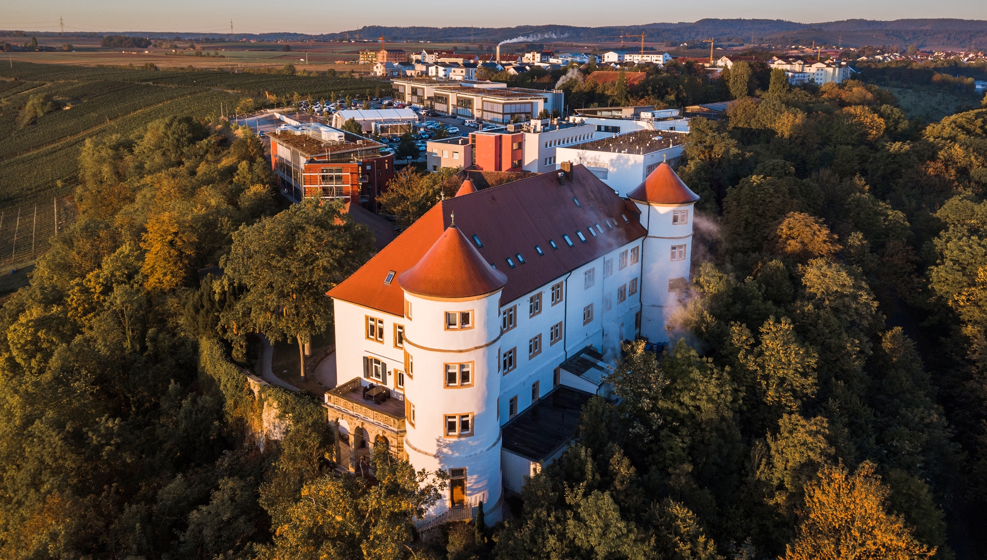 75 years Hohenstein